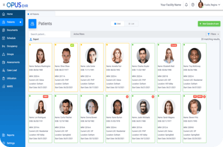 Behavioral Health EHR Software | Opus